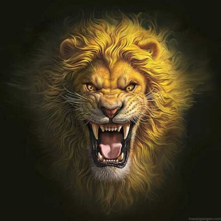 WhatsApp DP Images | Download 1500+ New DP for WhatsApp