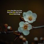 Good Morning Quotes in English | 1500+ Good Morning Wishes in English