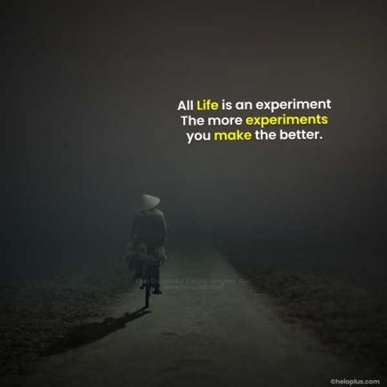 Life Quotes in English | 1500+ English Status about Life | HeloPlus