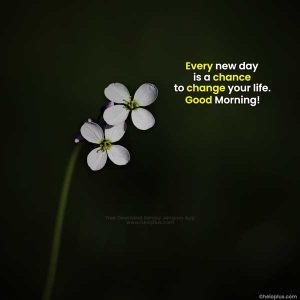 Good Morning Quotes in English | 1500+ Good Morning Wishes in English